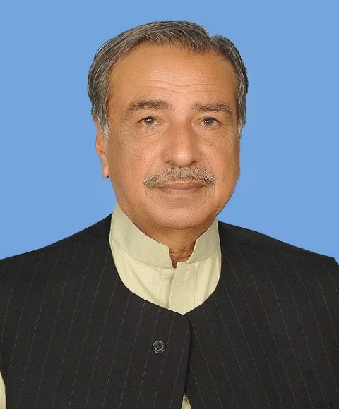 Malik Sultan Mehmood Hanjra - Daira Din Panah - City Portal